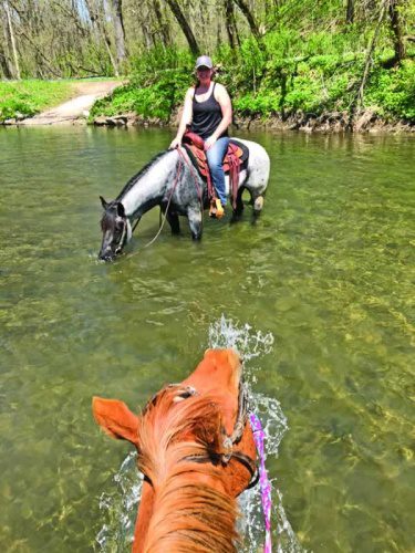View Bluff Country from the back of a horse