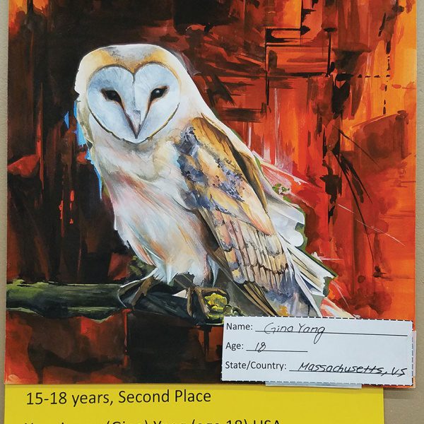 Visit Bluff Country – A guide to Historic Bluff Country