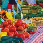 Visit Bluff Country – A guide to Historic Bluff Country