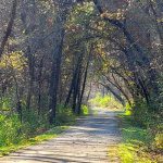 Visit Bluff Country – A guide to Historic Bluff Country