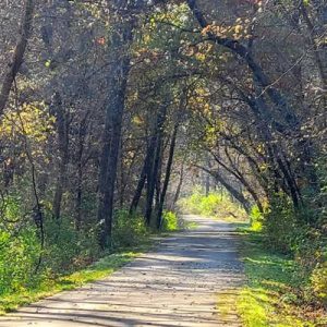 Visit Bluff Country – A guide to Historic Bluff Country