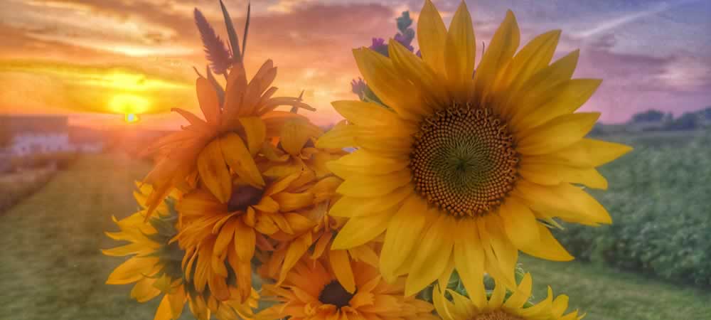 Kristi Danielson Vreeman sunset.Kristi Danielson-Vreeman