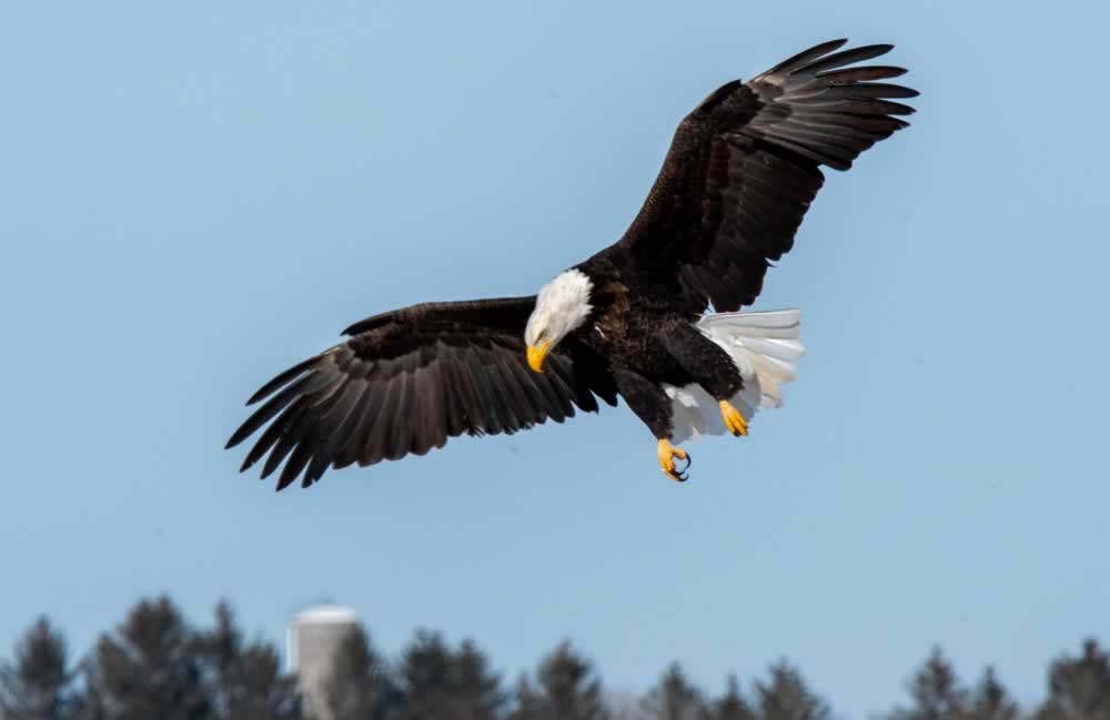 Kristi Danielson-Vreeman.24