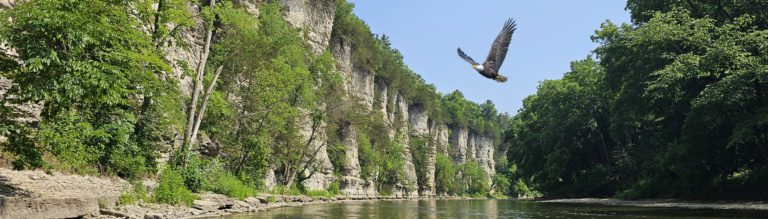 Visit Bluff Country – A guide to Historic Bluff Country