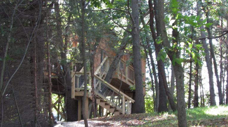 11 Can’t-Miss Things to Experience in Mabel